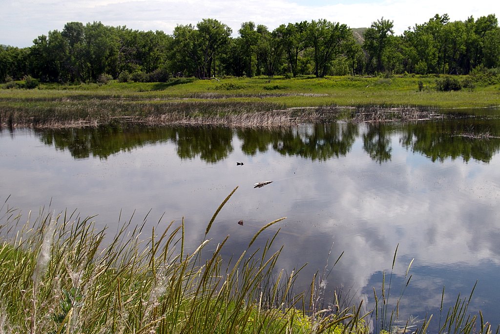 Water Resource Protection • NEIWPCC