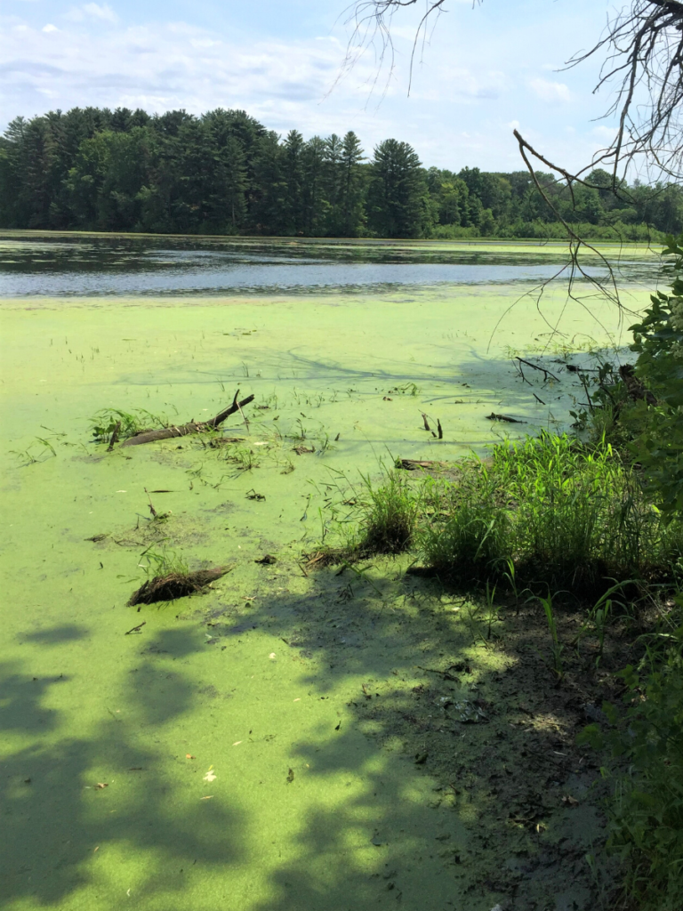 Two Webinar Series Provide 303(d) Professional Training • NEIWPCC