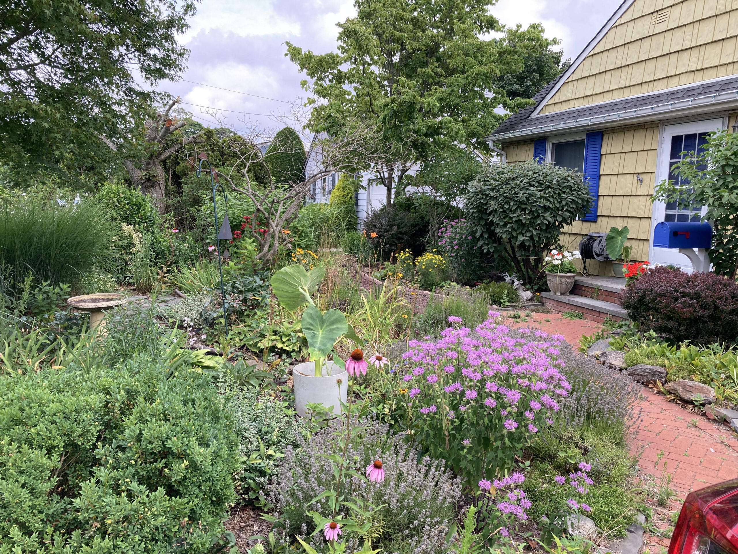 Stormwater Mitigation Program Rewards Long Island Homeowners • NEIWPCC