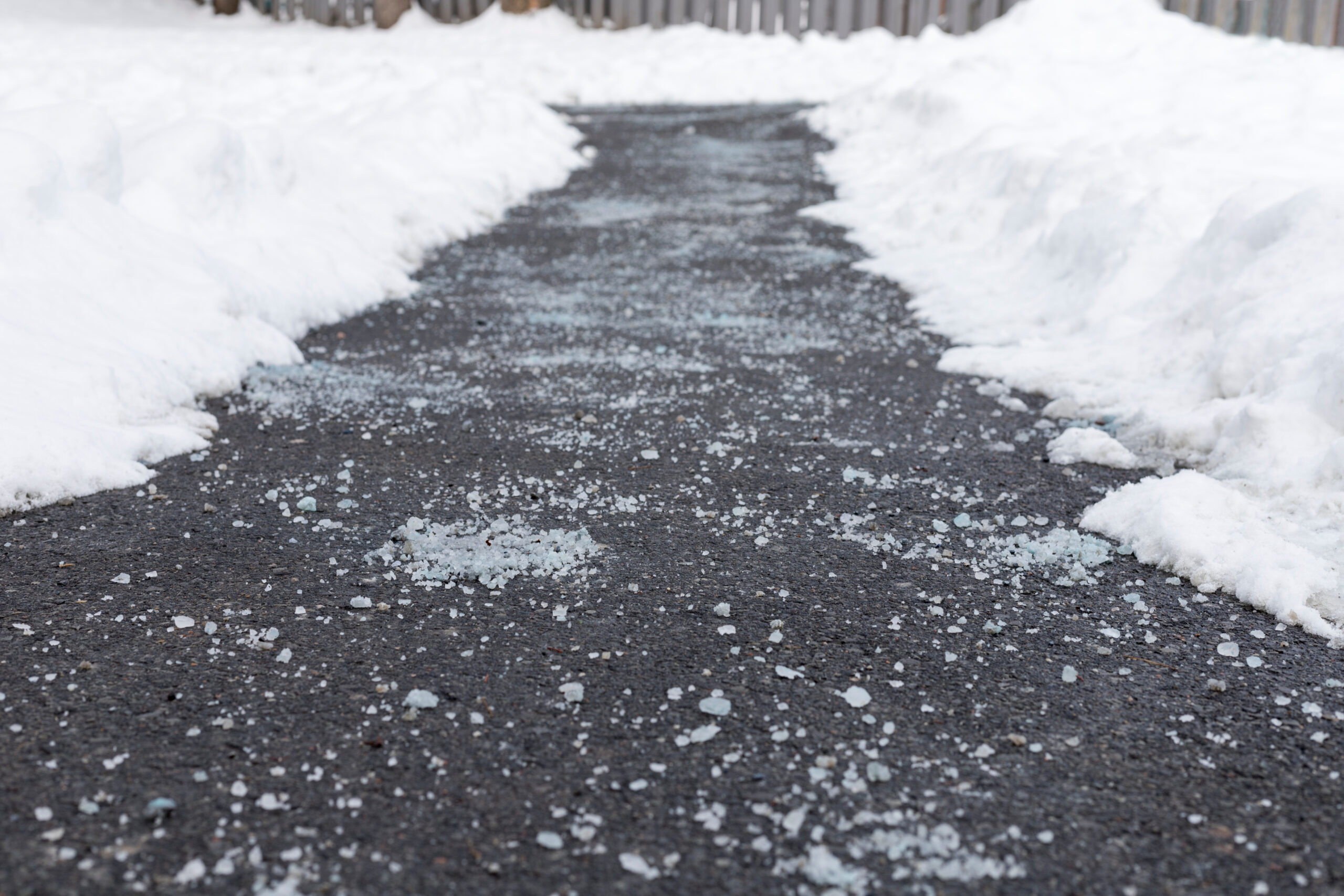 Hold the Salt: Reducing Winter Salt Application • NEIWPCC